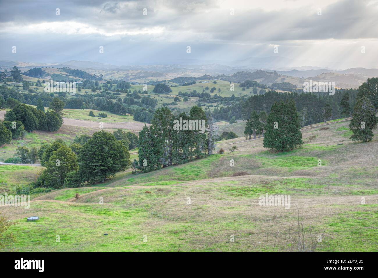 Landscape of Northland region in New Zealand Stock Photo - Alamy