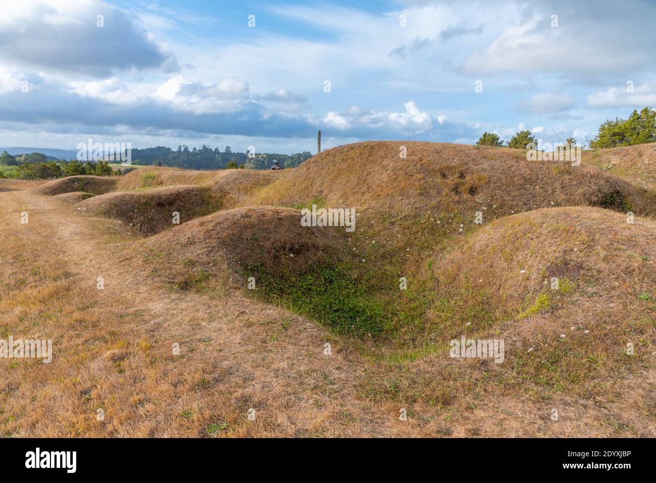 Ruapekapeka pa - ruins of a maori fortress in New Zealand Stock Photo ...