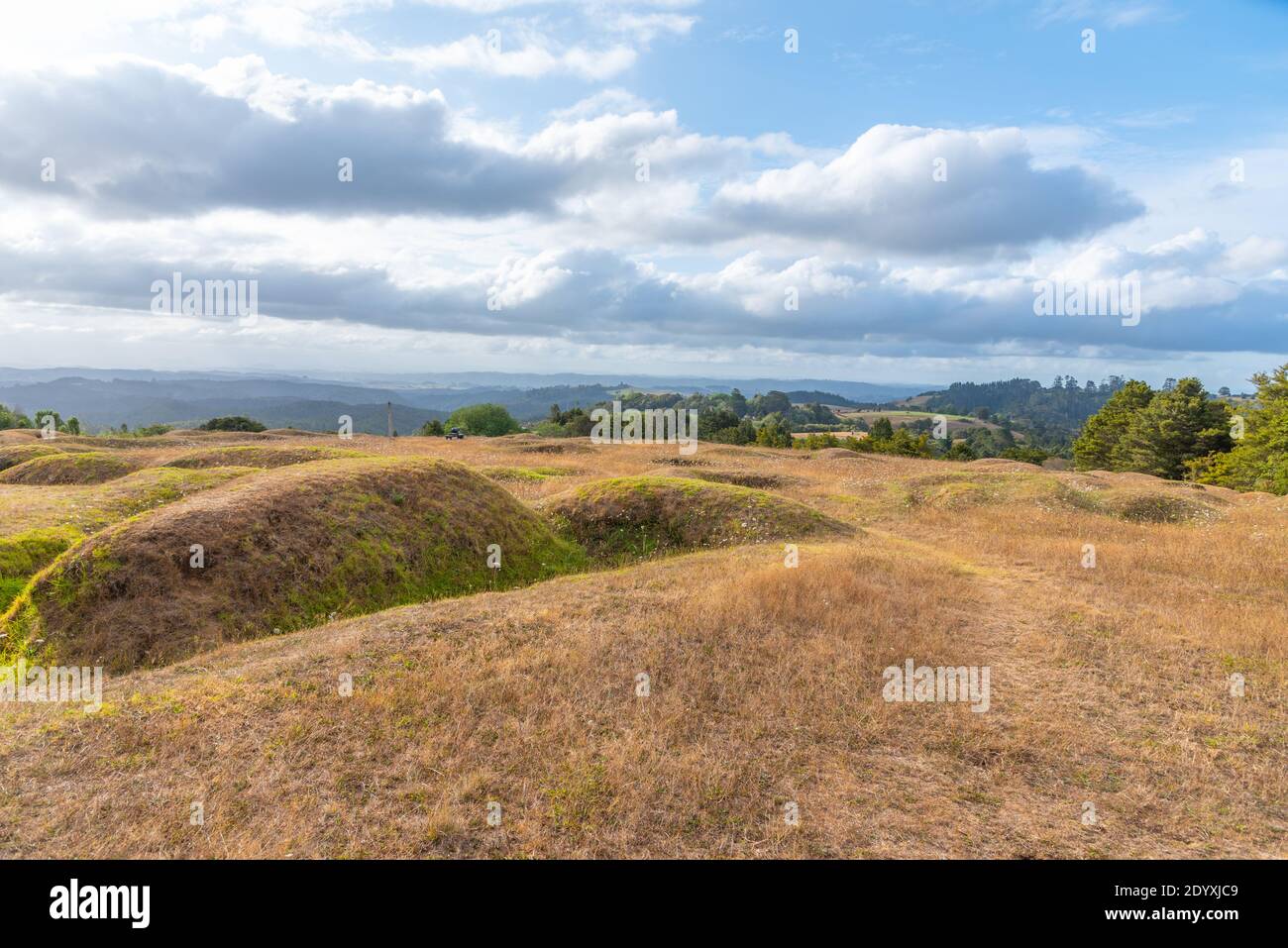 Maori traditional structure hi-res stock photography and images - Alamy