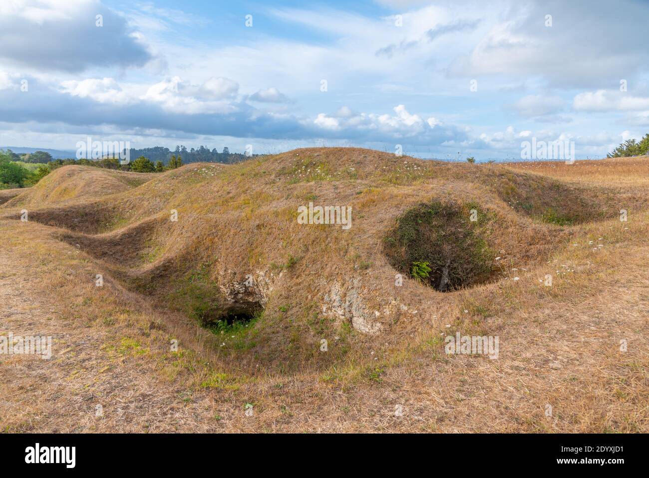 Maori traditional structure hi-res stock photography and images - Alamy