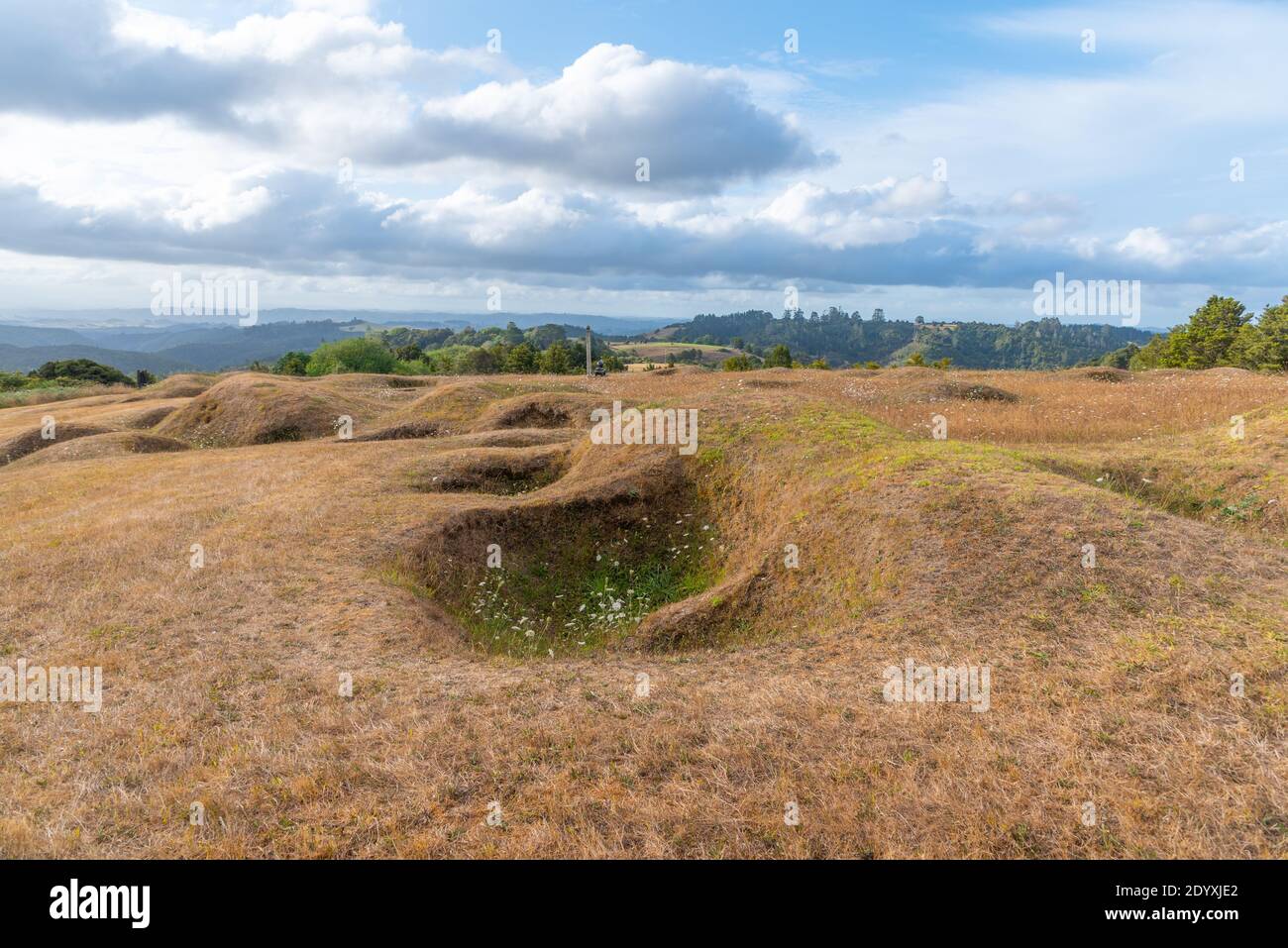 Maori fort hi-res stock photography and images - Alamy