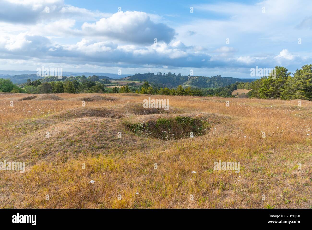 Maori traditional structure hi-res stock photography and images - Alamy
