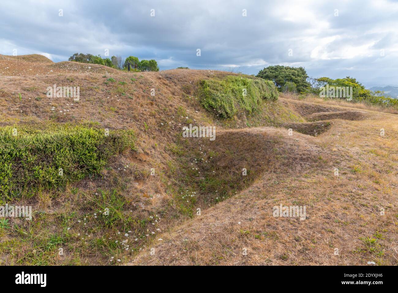 Maori fort hi-res stock photography and images - Alamy