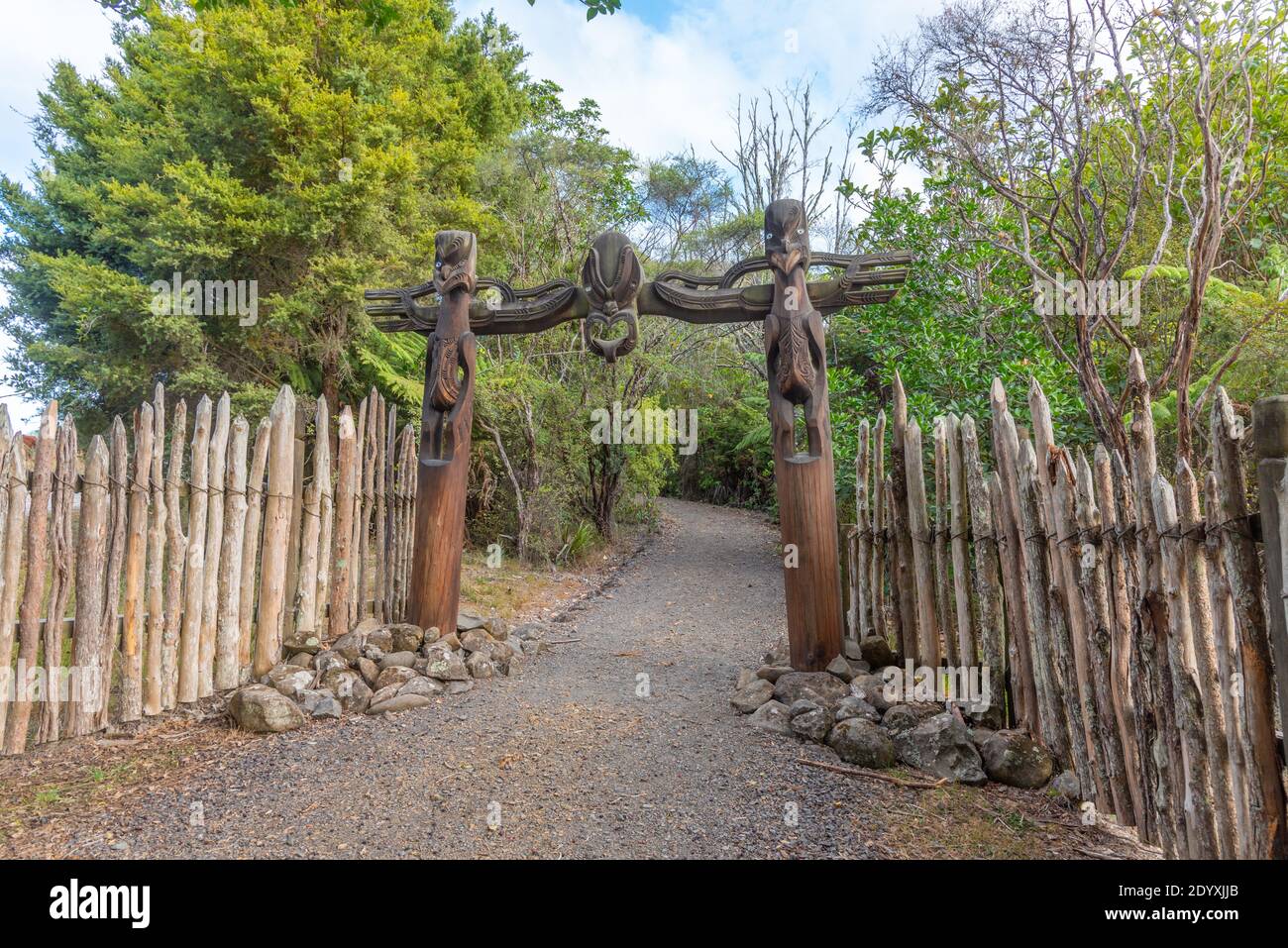 Maori wars hi-res stock photography and images - Alamy