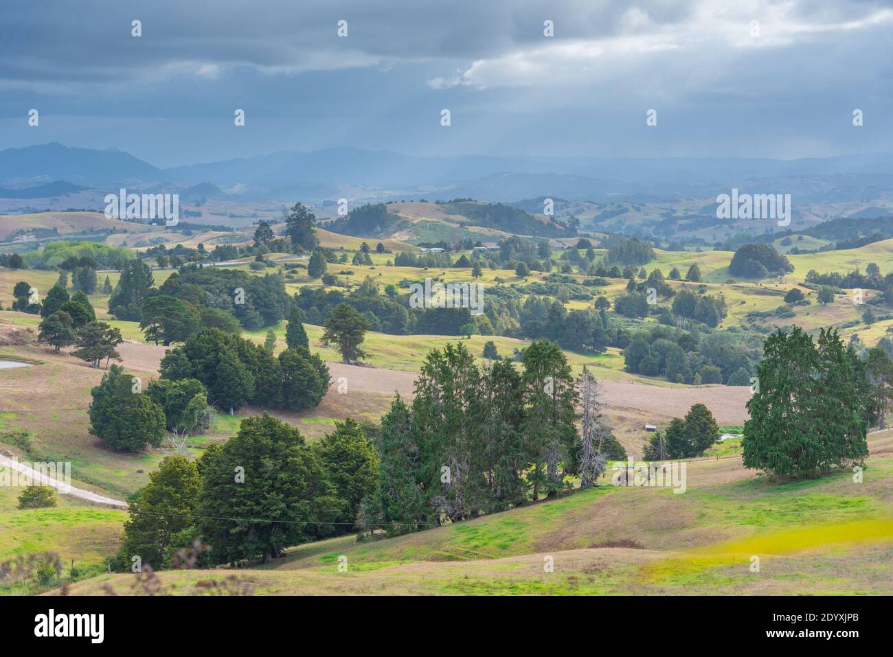 Landscape of Northland region in New Zealand Stock Photo - Alamy