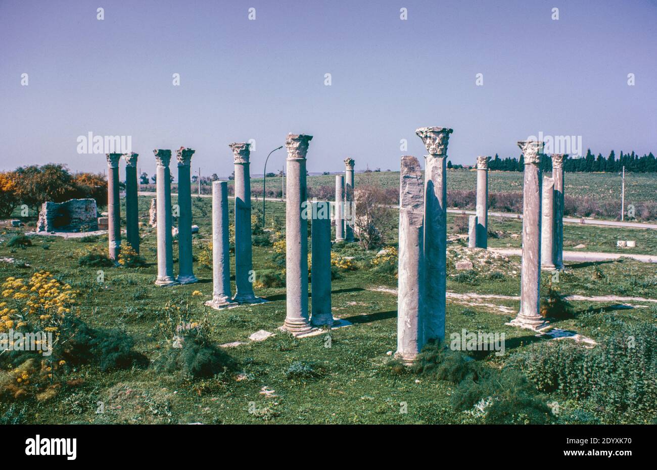 Archaeological Site in Carthage. ruins of the capital city of the ...
