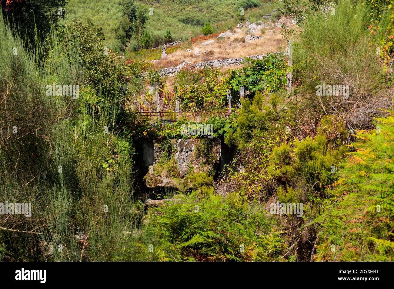 River run dry in the north of Portugal Stock Photo - Alamy