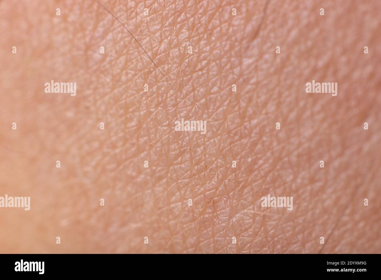 Human skin texture hi-res stock photography and images - Alamy