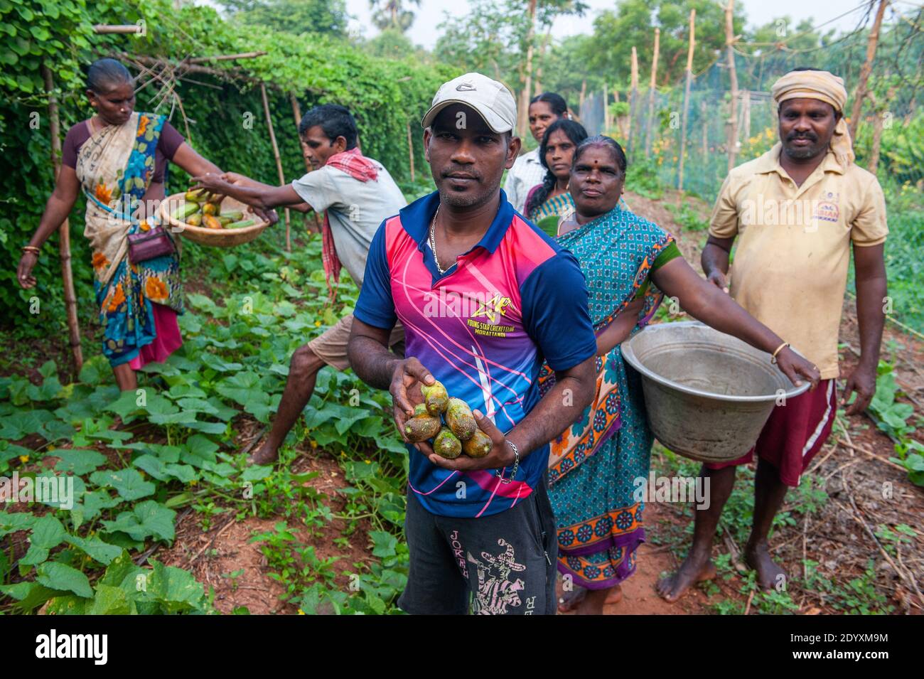 Women workers farm india hi-res stock photography and images - Alamy
