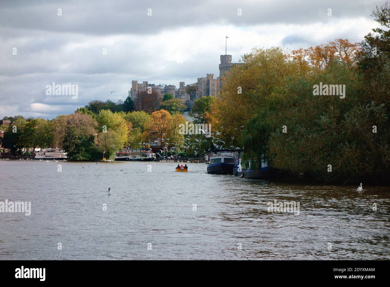 Windsor castle from river hi-res stock photography and images - Alamy