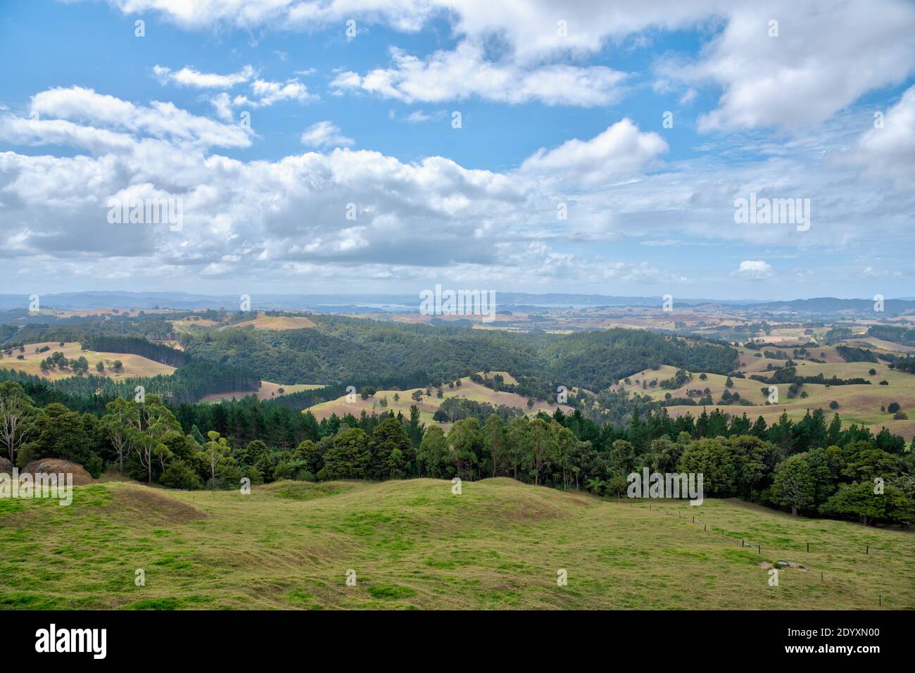 Landscape of Northland region in New Zealand Stock Photo - Alamy