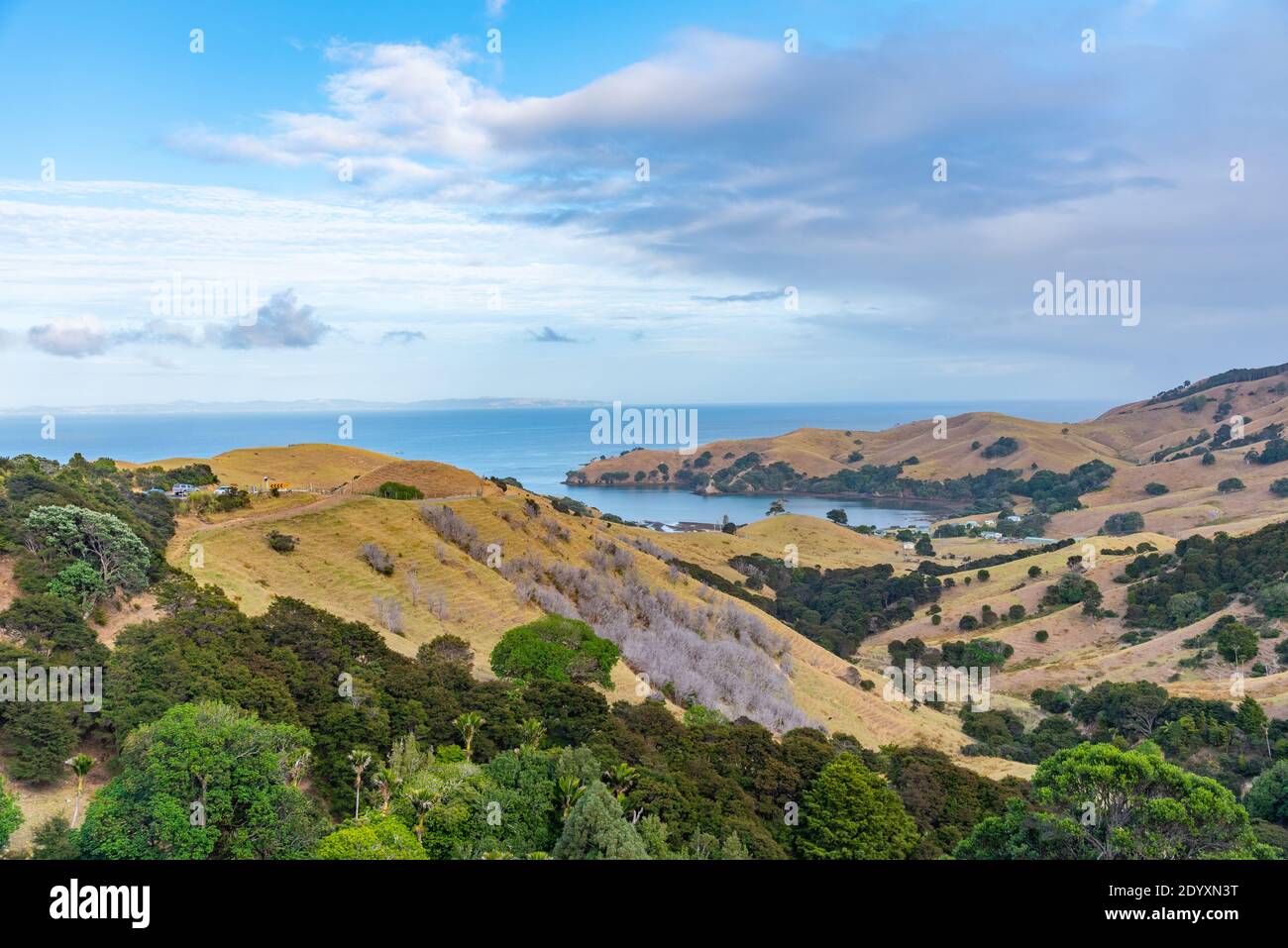 Landscape of Coromandel peninsula in New Zealand Stock Photo - Alamy