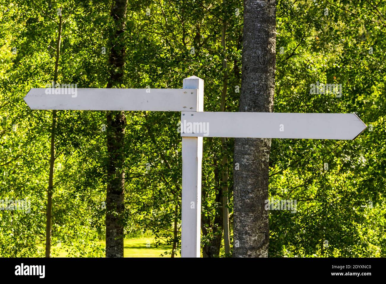 Road signs without text with a green background Stock Photo - Alamy