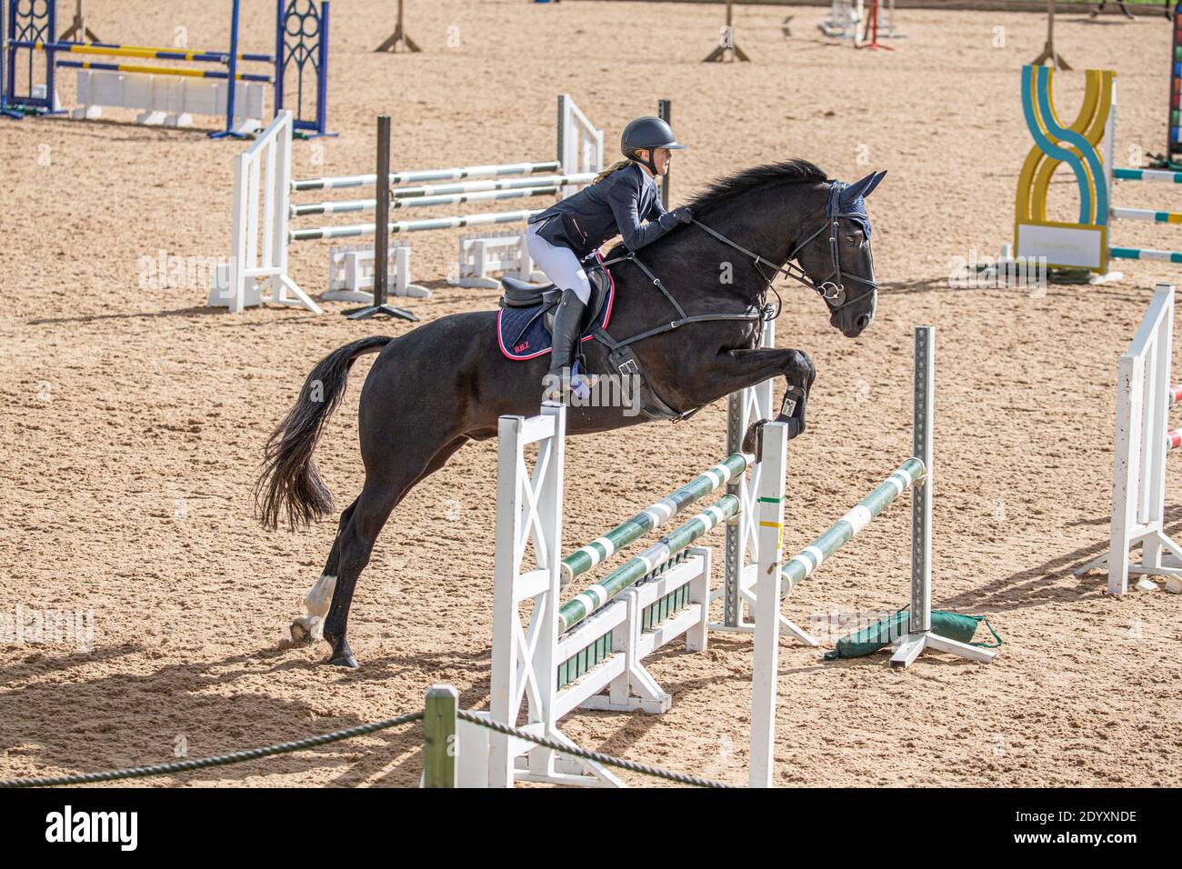 An equestrian rider on their horse jumping over a fence as they take ...