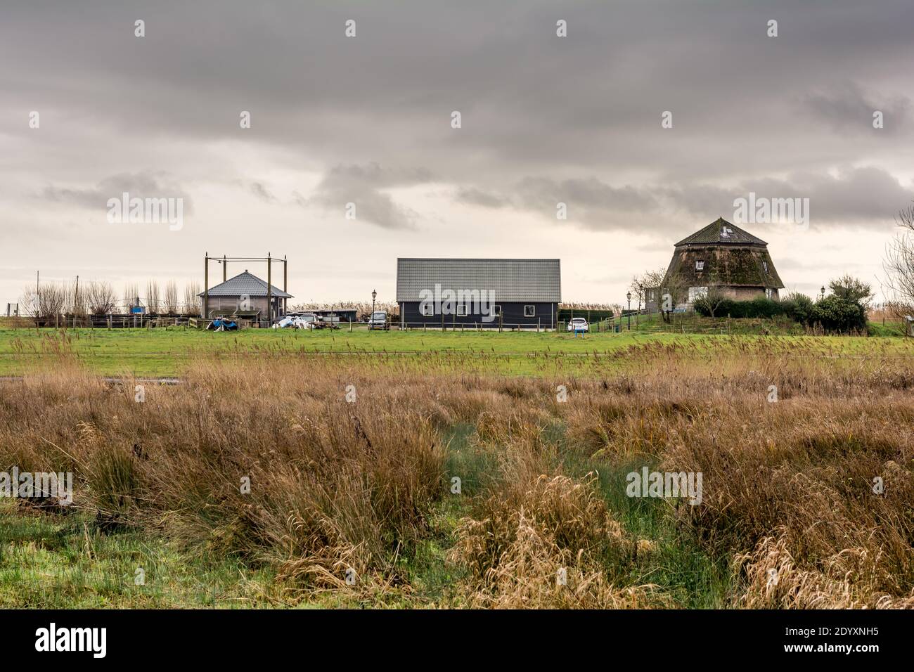 Dutch farming hi-res stock photography and images - Alamy