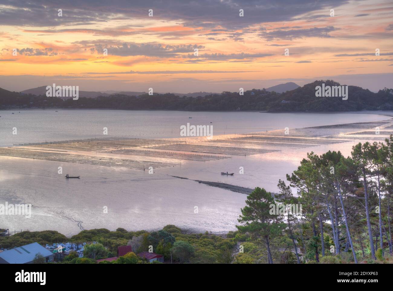 New zealand coromandel town hi-res stock photography and images - Alamy