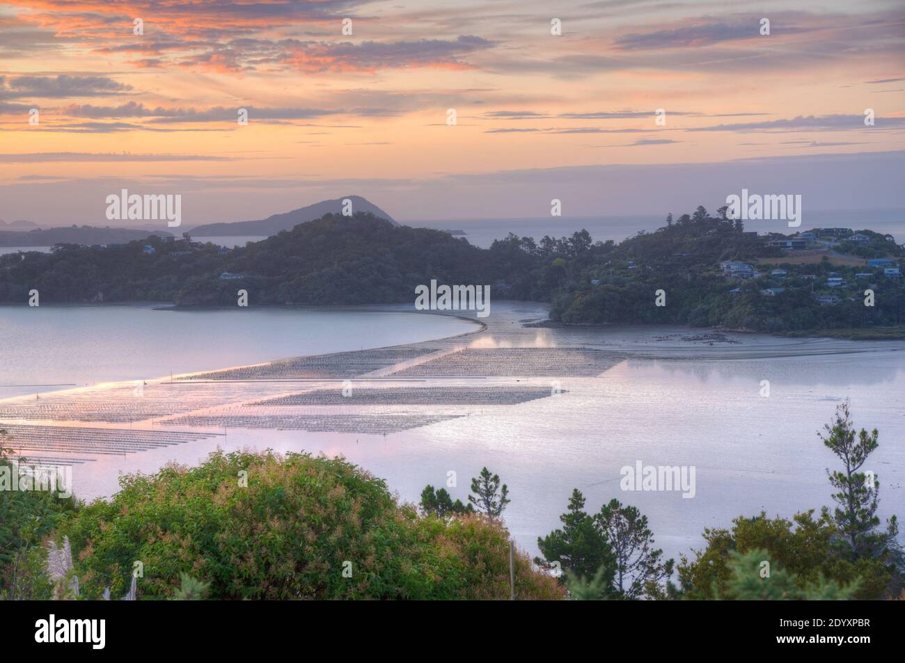 Coromandel town new zealand hi-res stock photography and images - Alamy