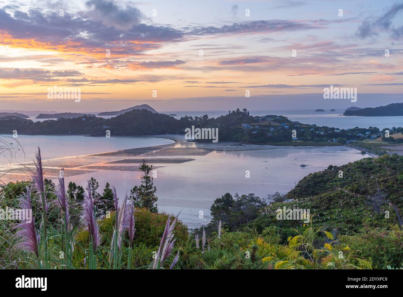 Sunset view of a fish farm near coromandel town at New Zealand Stock ...