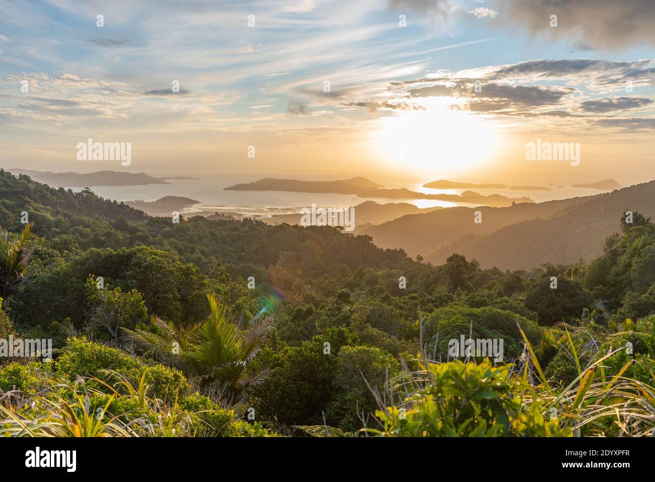 Coromandel town hi-res stock photography and images - Alamy