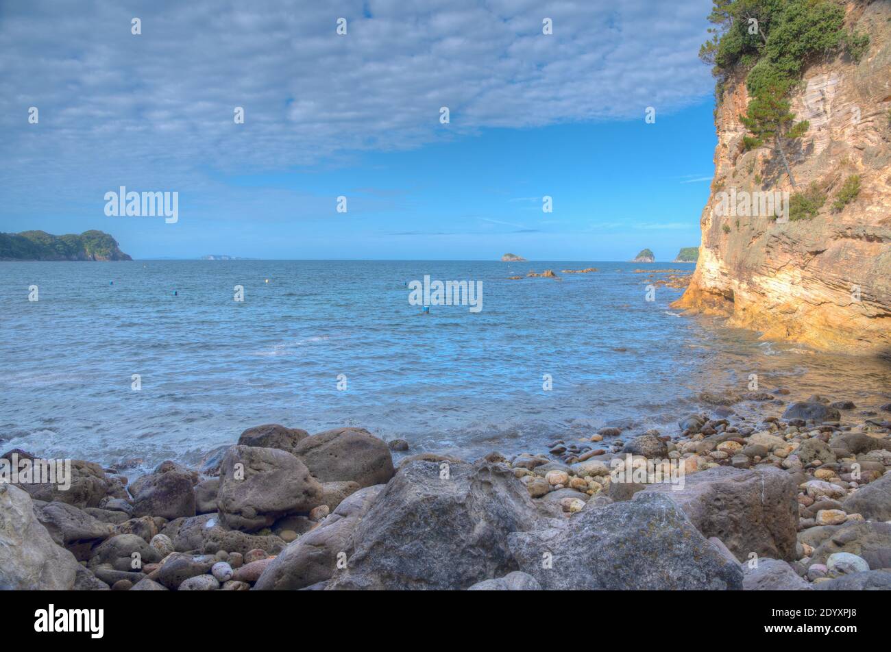 Gemstone bay at Coromandel peninsula in New Zealand Stock Photo - Alamy