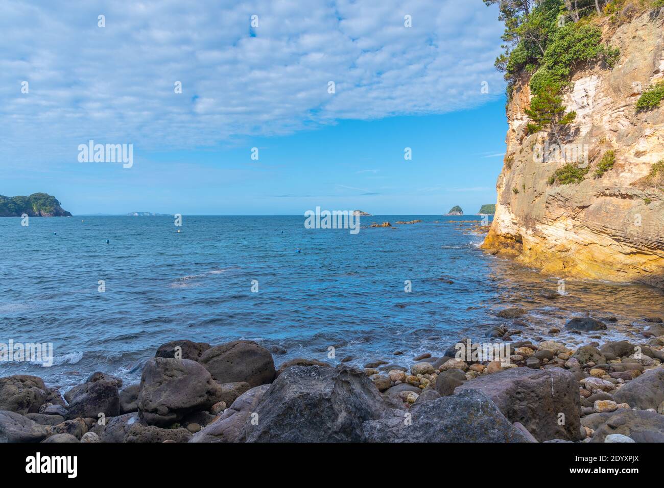 Gemstone bay at Coromandel peninsula in New Zealand Stock Photo - Alamy