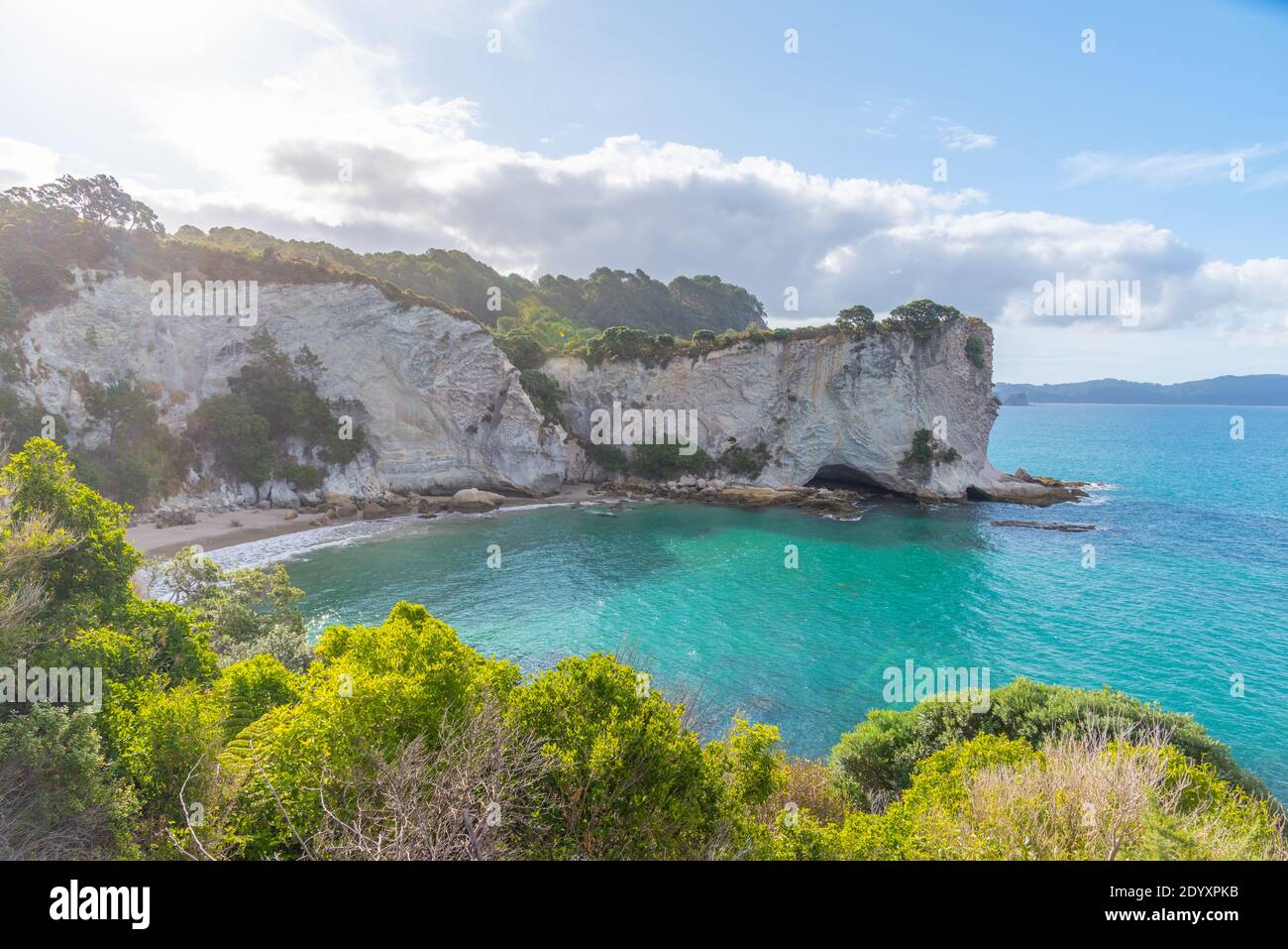 Stingray bay at Coromandel peninsula in New Zealand Stock Photo - Alamy