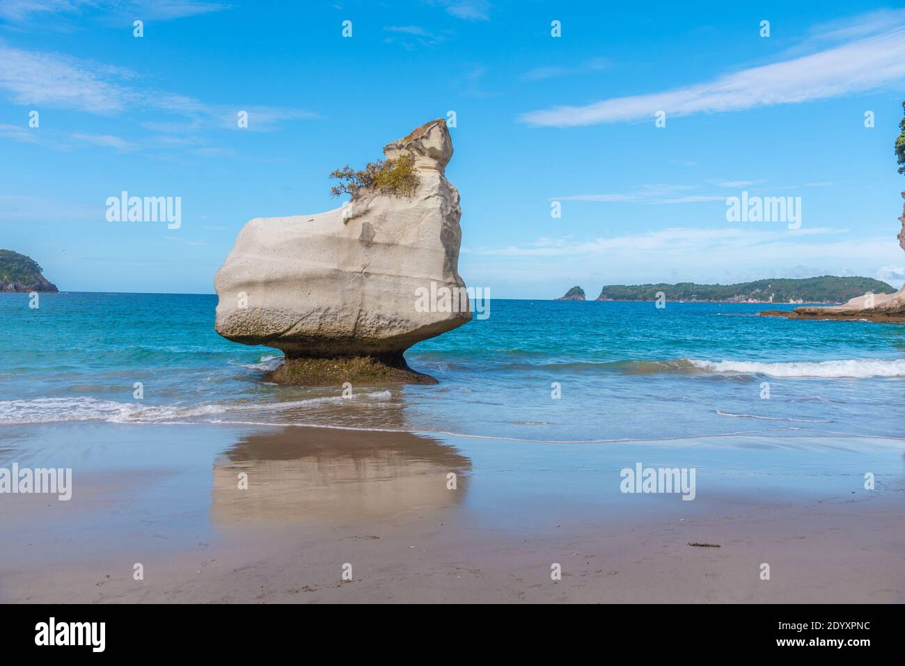 Smiling Sphinx rock at Coromandel peninsula in New Zealand Stock Photo ...