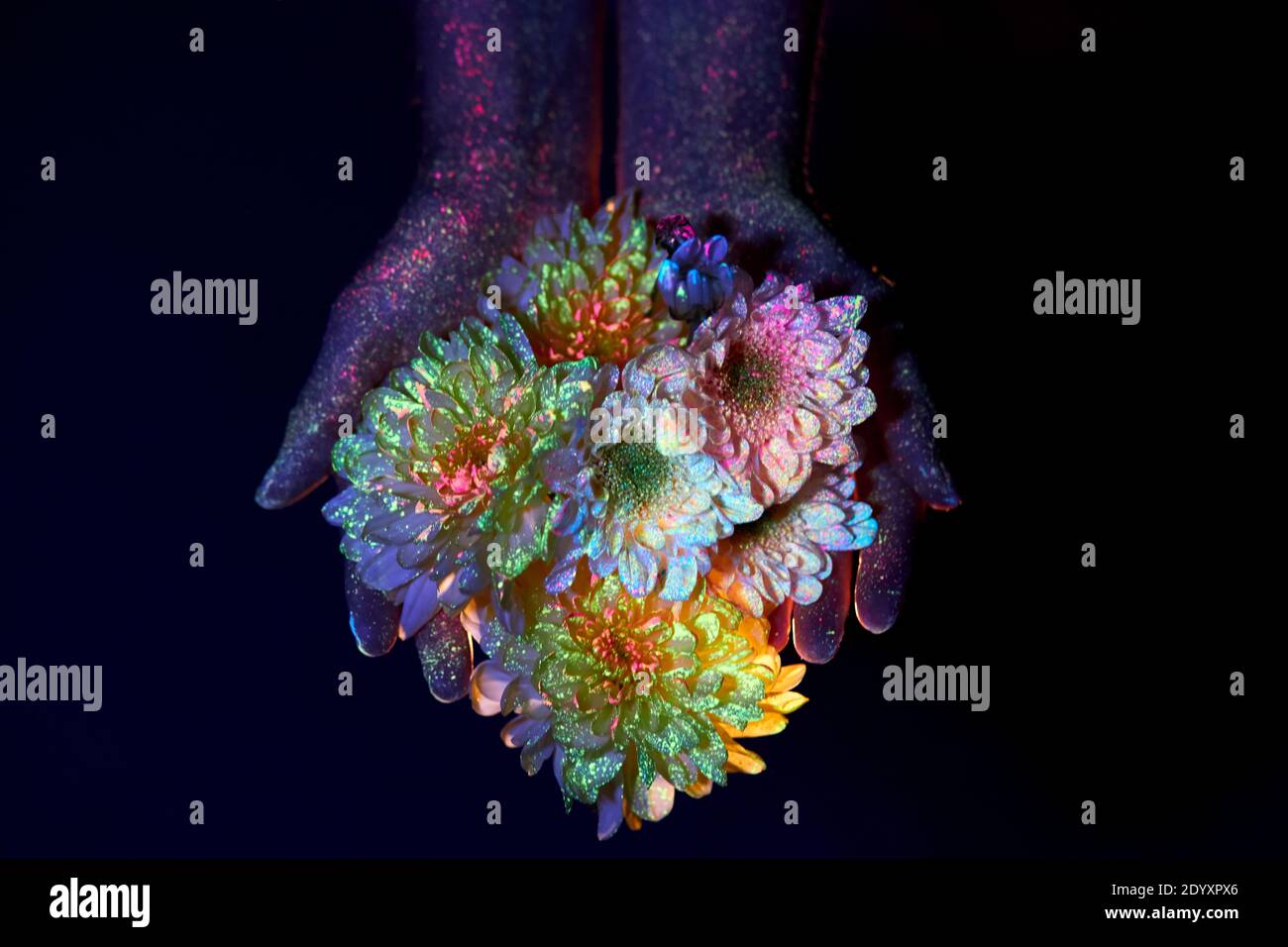 Beauty hands of a woman in ultraviolet light with flowers in the palms ...