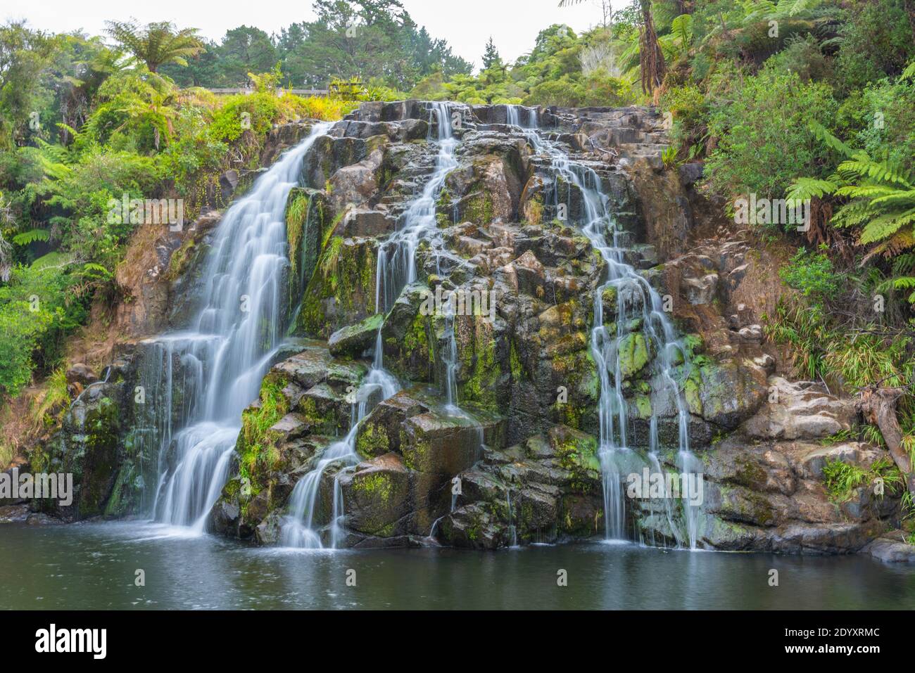 Waihi river hi-res stock photography and images - Alamy