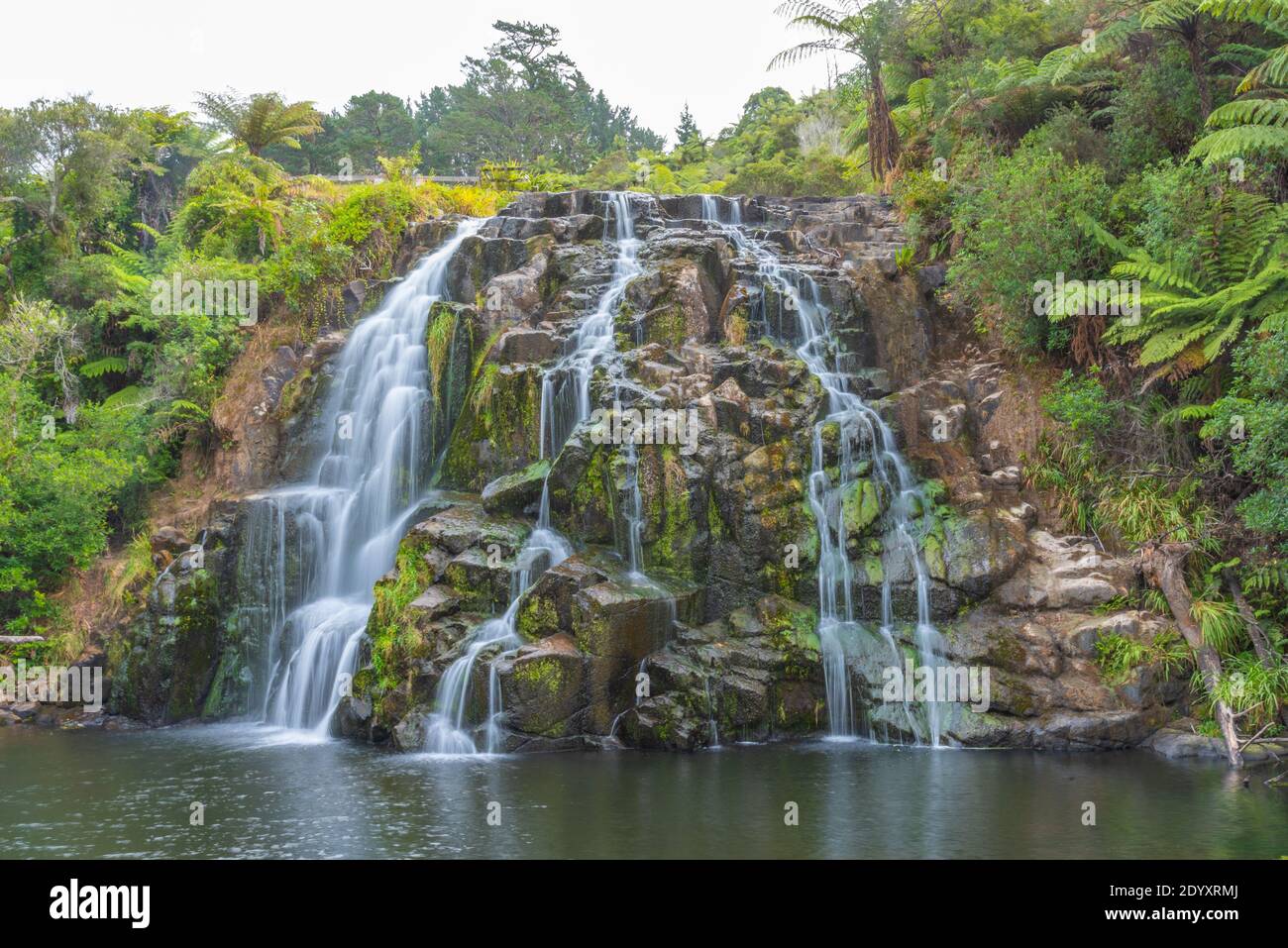Owharoa falls at New Zealand Stock Photo - Alamy