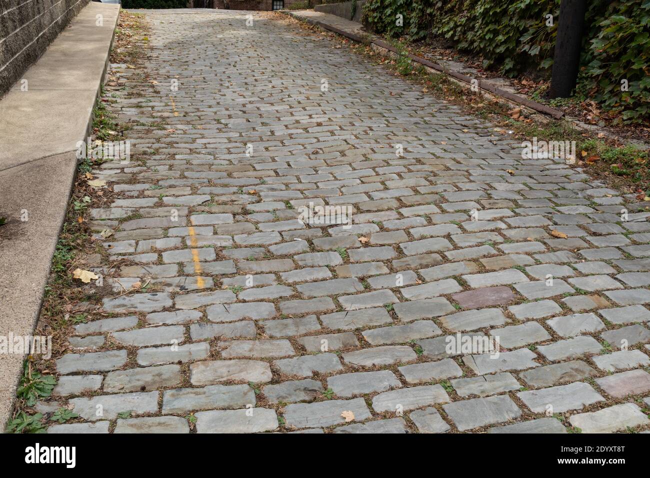Alley street paved with gray stone blocks set in a running bond pattern ...