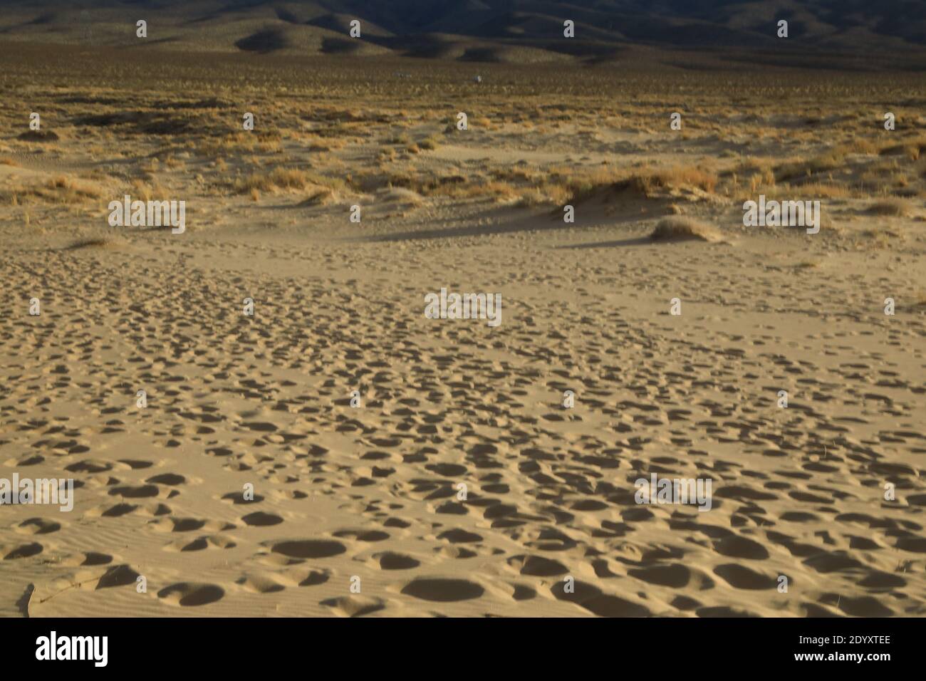 Sandy landscape , full frame view Stock Photo - Alamy