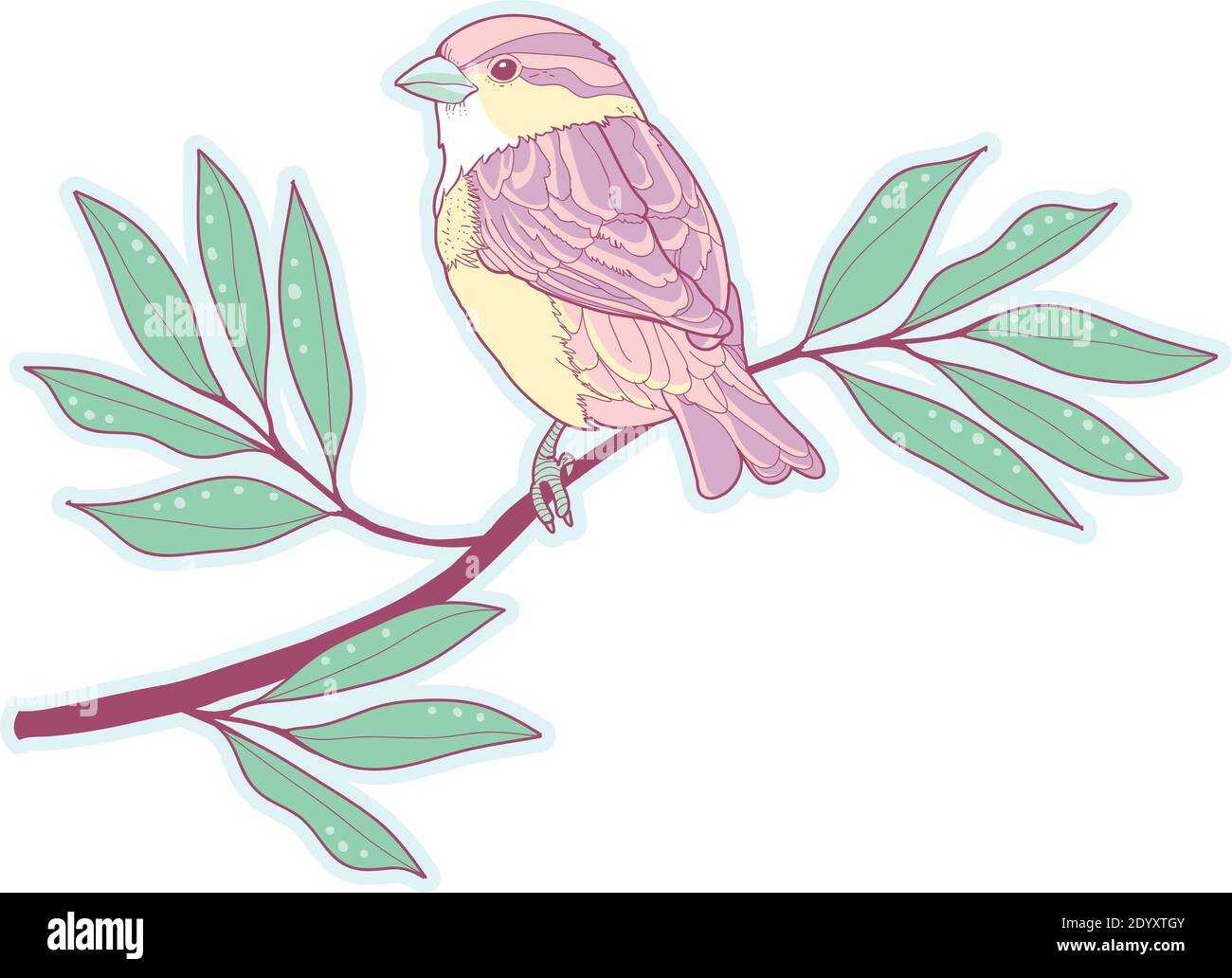 Bird house sparrow on branch Cut Out Stock Images & Pictures - Alamy