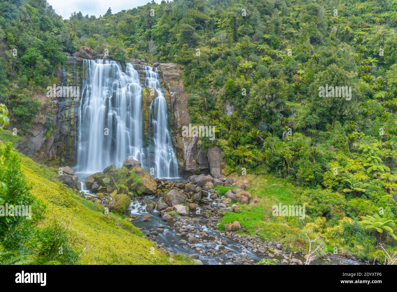 Marokopa Falls at New Zealand Stock Photo - Alamy