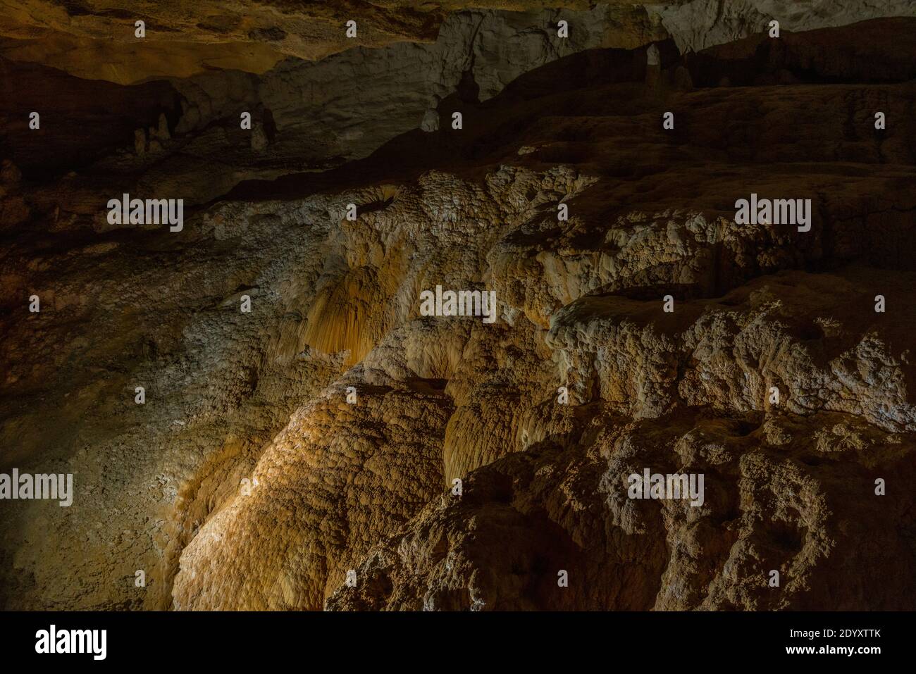 Ruakuri cave in New Zealand Stock Photo - Alamy