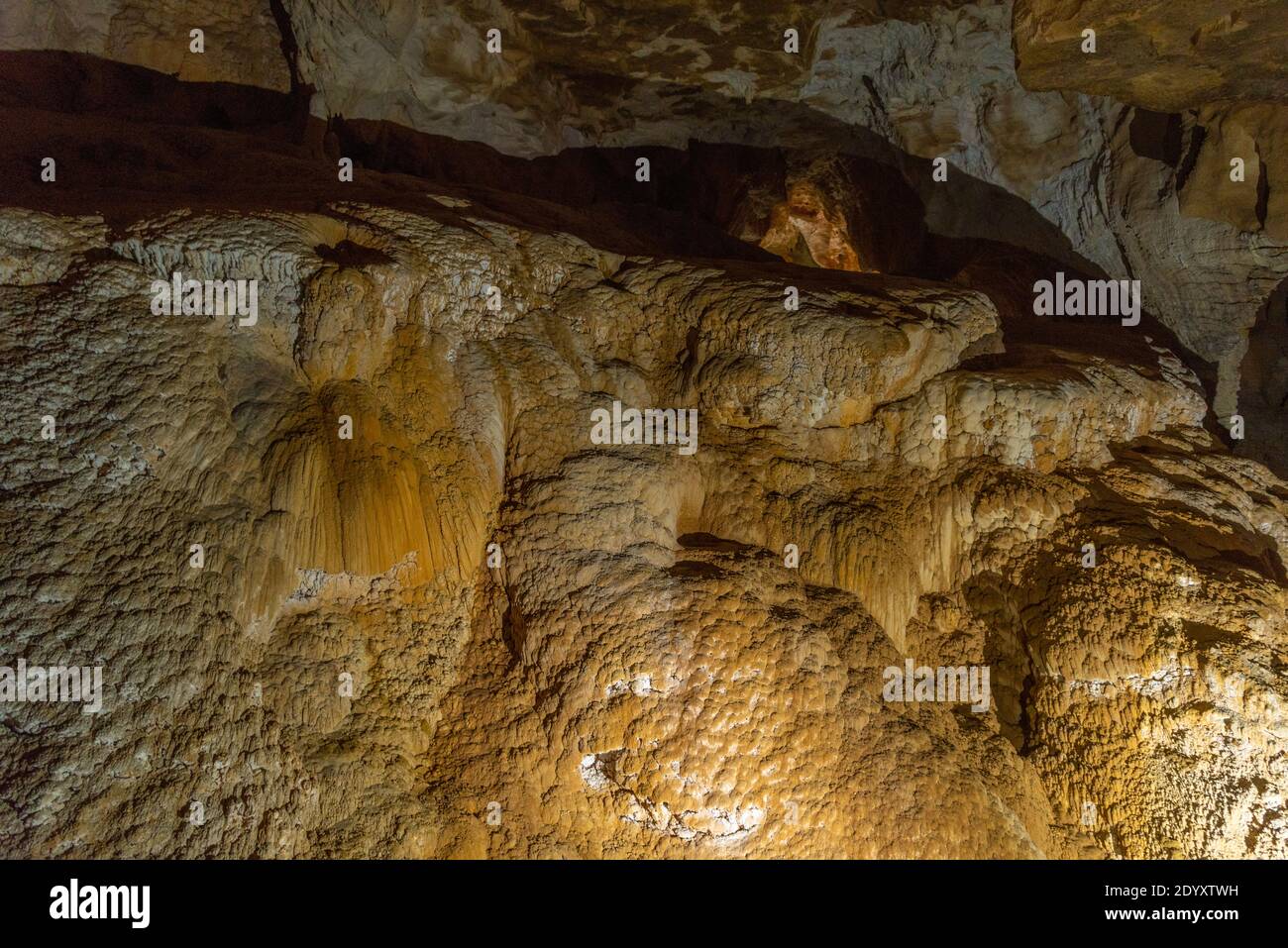 Ruakuri cave in New Zealand Stock Photo - Alamy