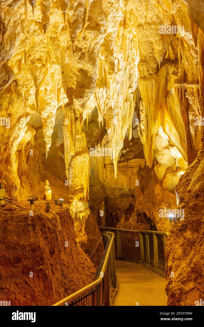 Ruakuri cave in New Zealand Stock Photo - Alamy