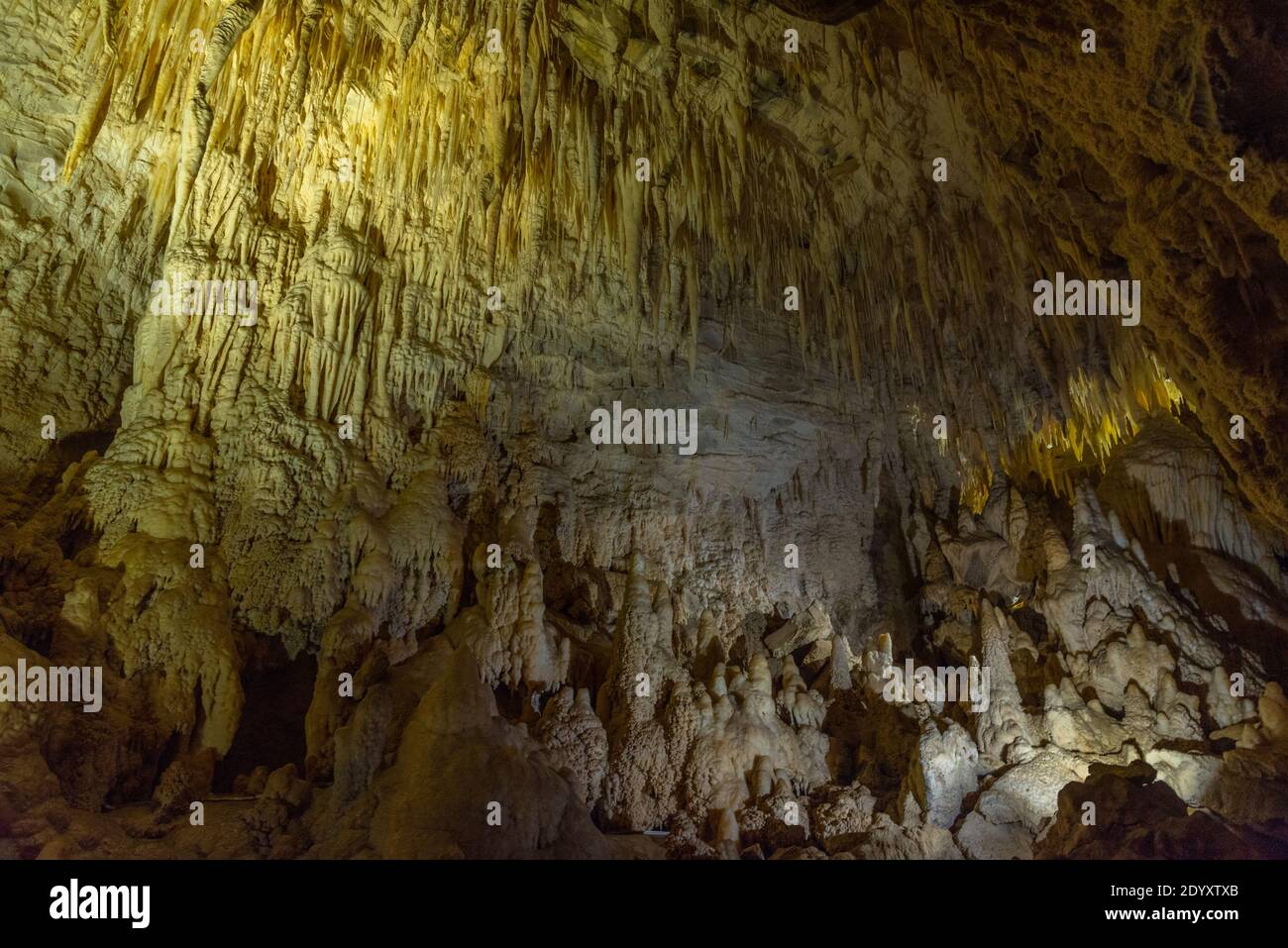 Ruakuri cave in New Zealand Stock Photo - Alamy
