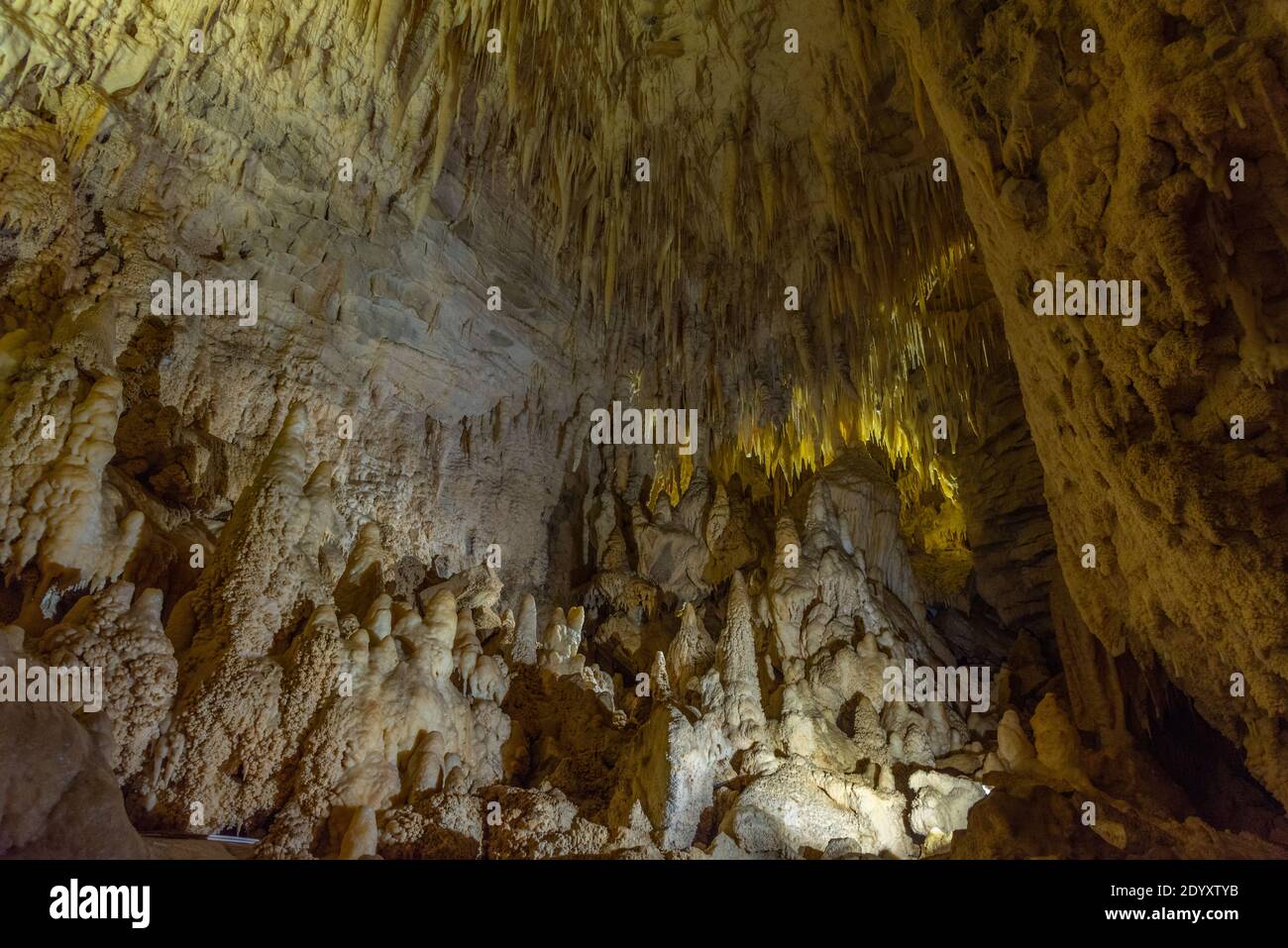 Ruakuri cave in New Zealand Stock Photo - Alamy
