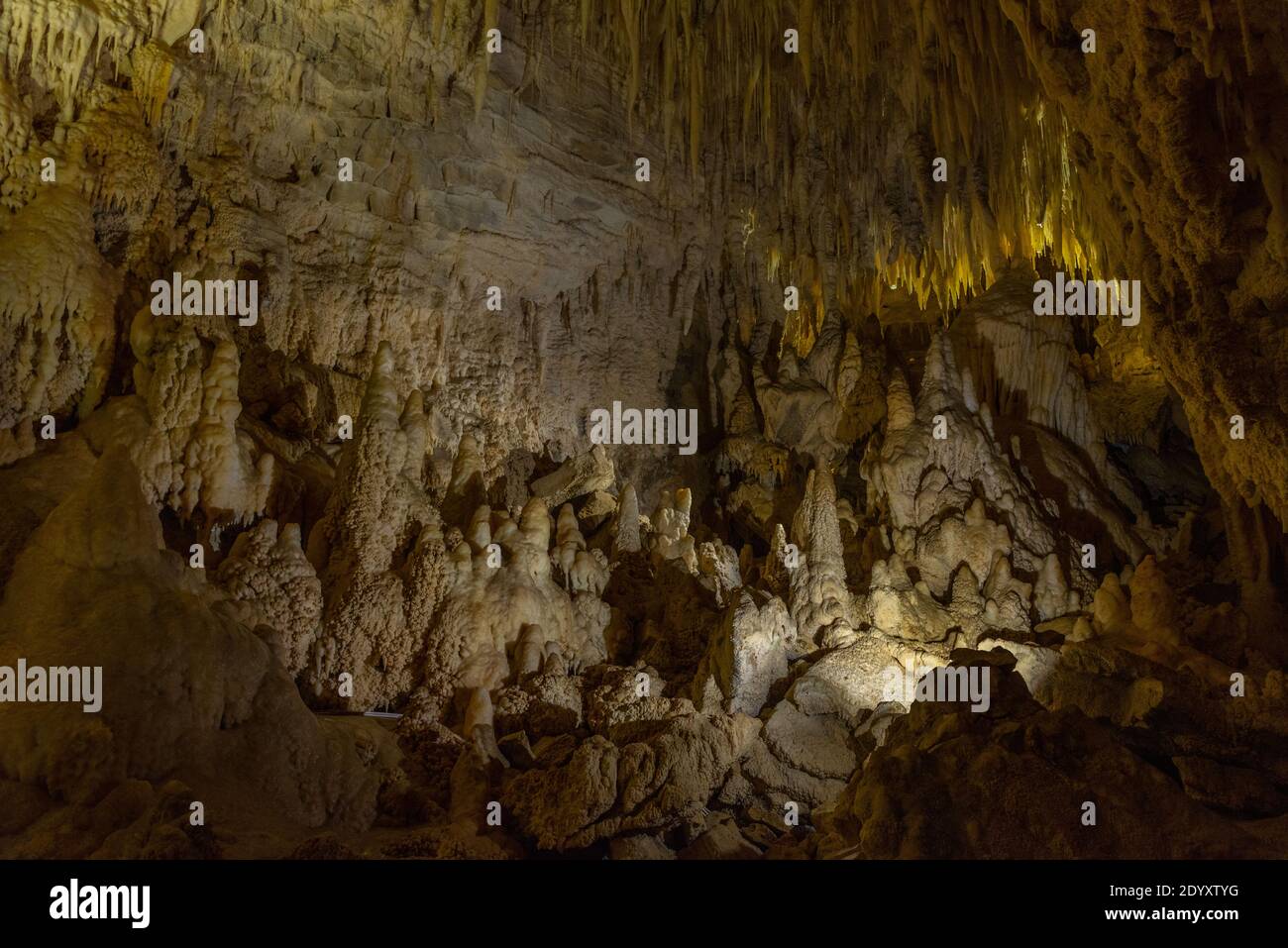 Ruakuri cave in New Zealand Stock Photo - Alamy