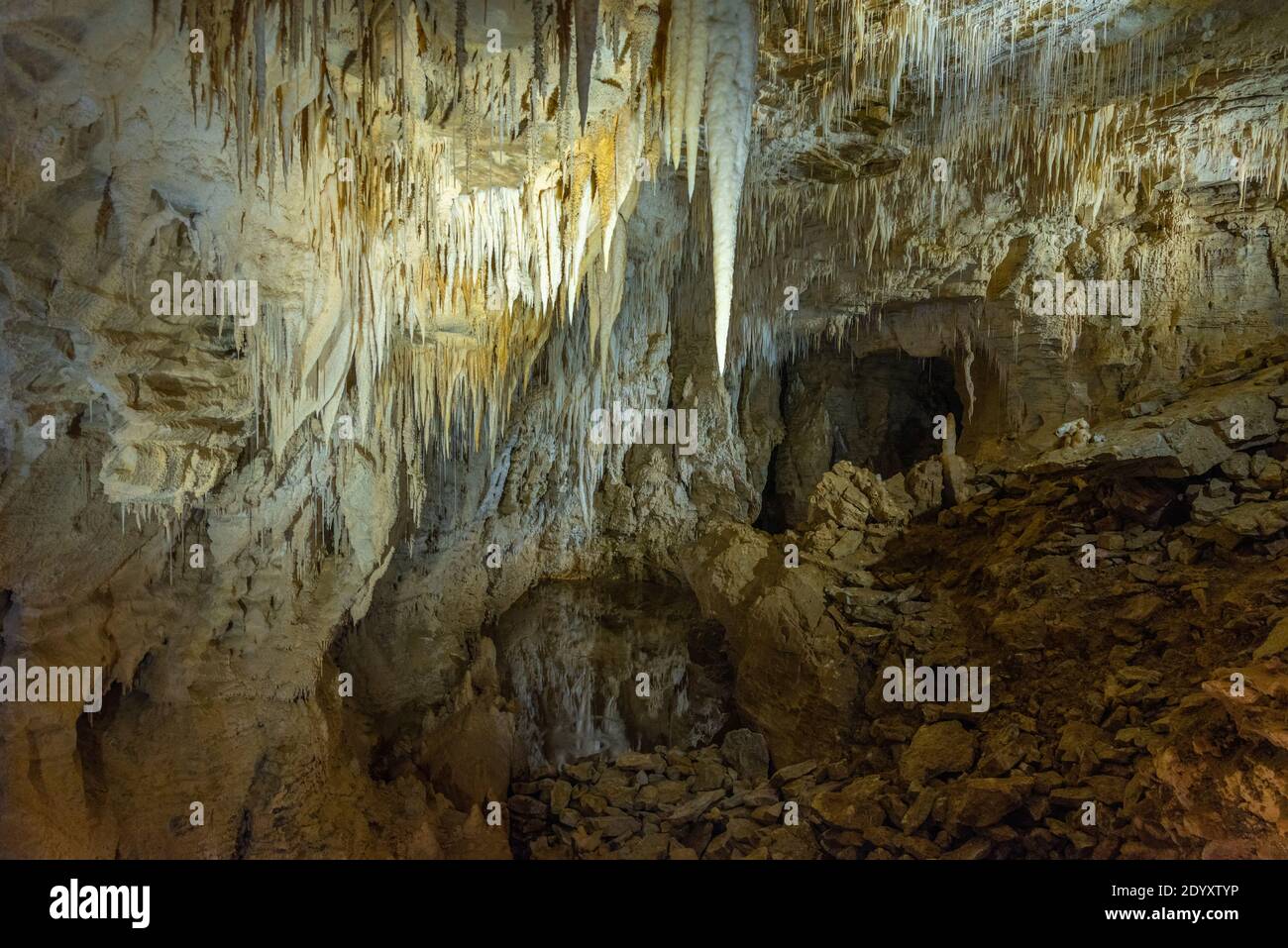 Ruakuri cave in New Zealand Stock Photo - Alamy