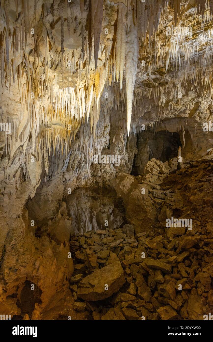 Ruakuri cave in New Zealand Stock Photo - Alamy