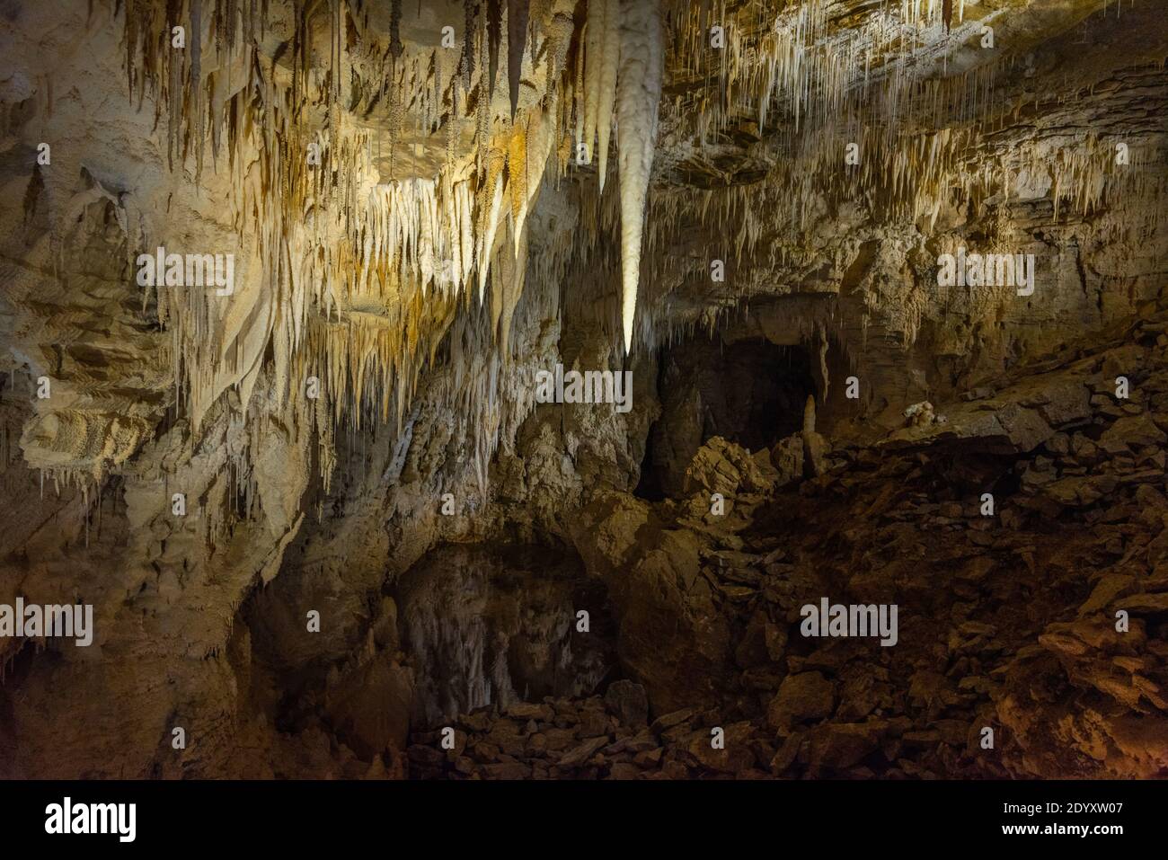 Ruakuri cave in New Zealand Stock Photo - Alamy