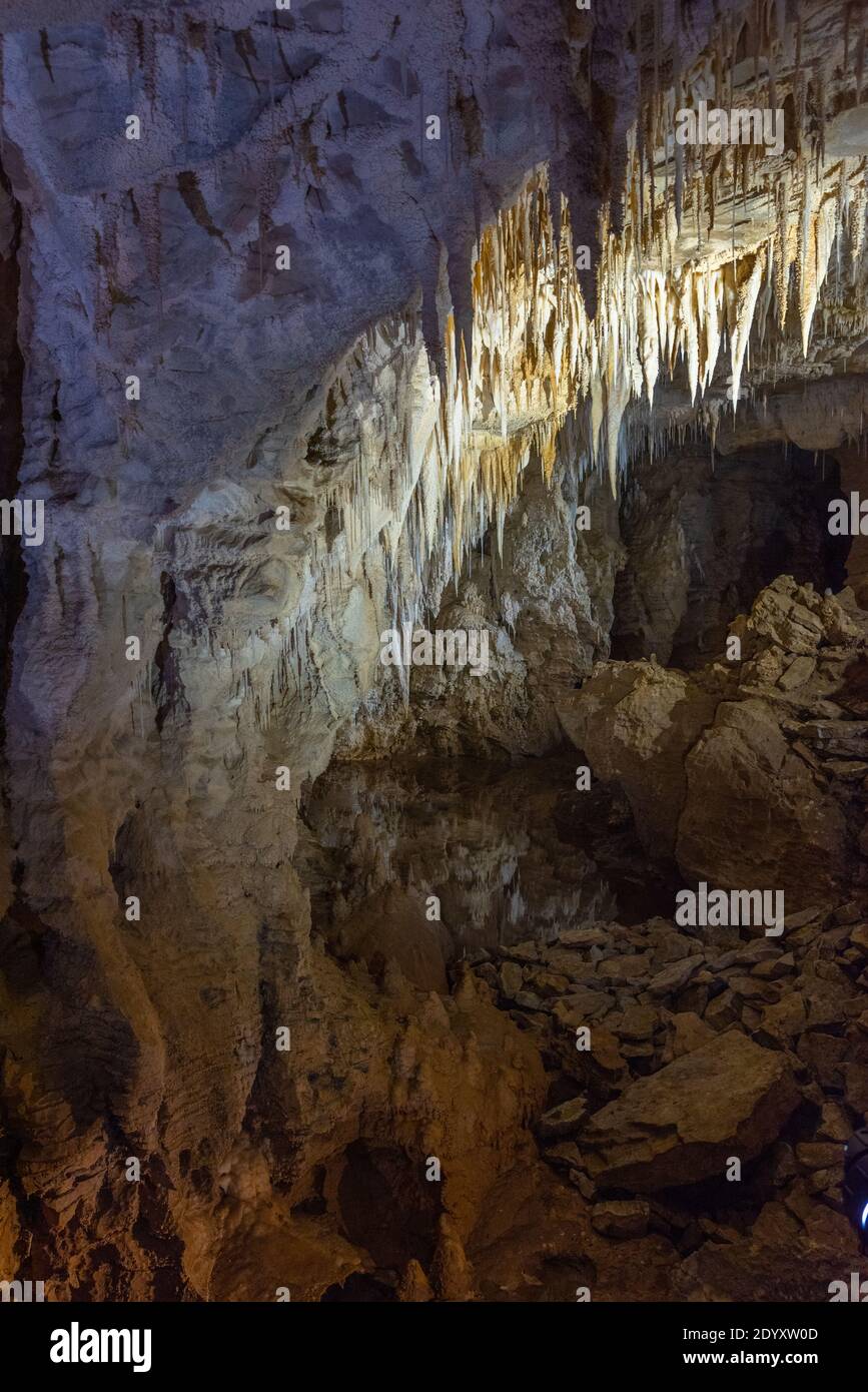 Ruakuri cave in New Zealand Stock Photo - Alamy