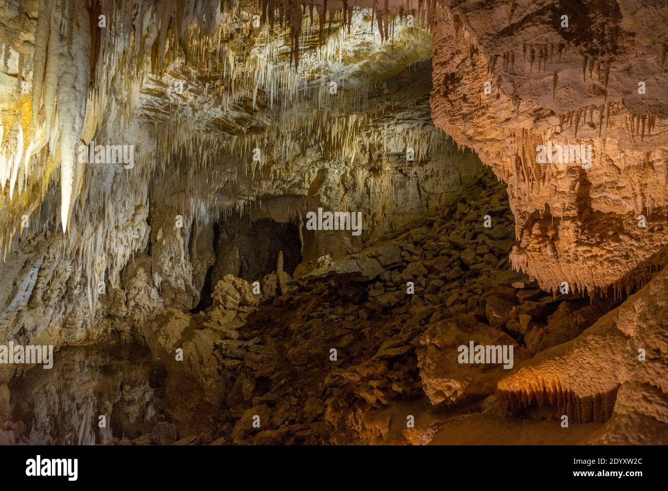 Ruakuri cave in New Zealand Stock Photo - Alamy
