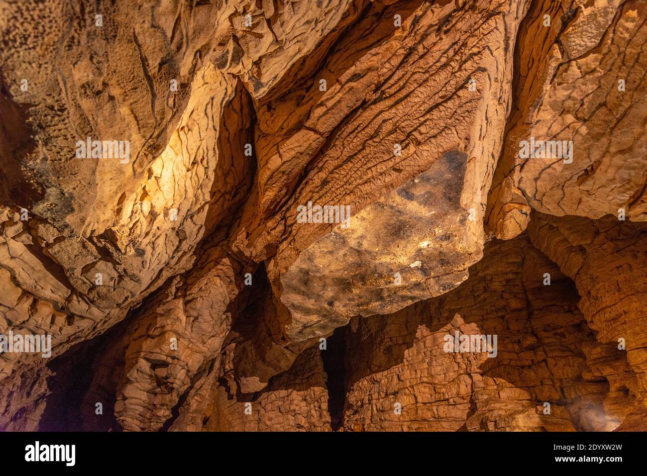 Ruakuri cave in New Zealand Stock Photo - Alamy