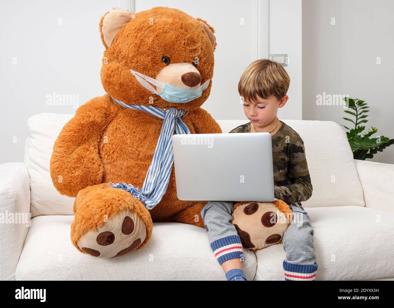 Teddy Bear On Computer