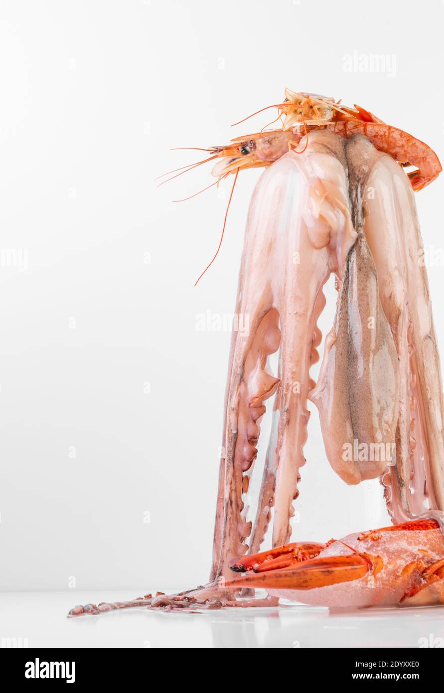 Seafood Crabs, Shrimp, Octopus on white background. Food rich in ...