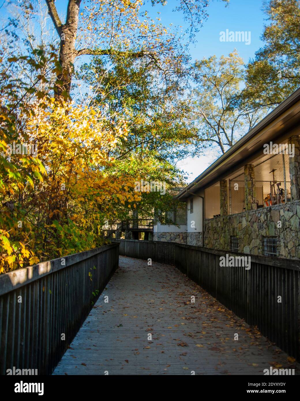 Open Wooded Path by Building in Fall Stock Photo - Alamy