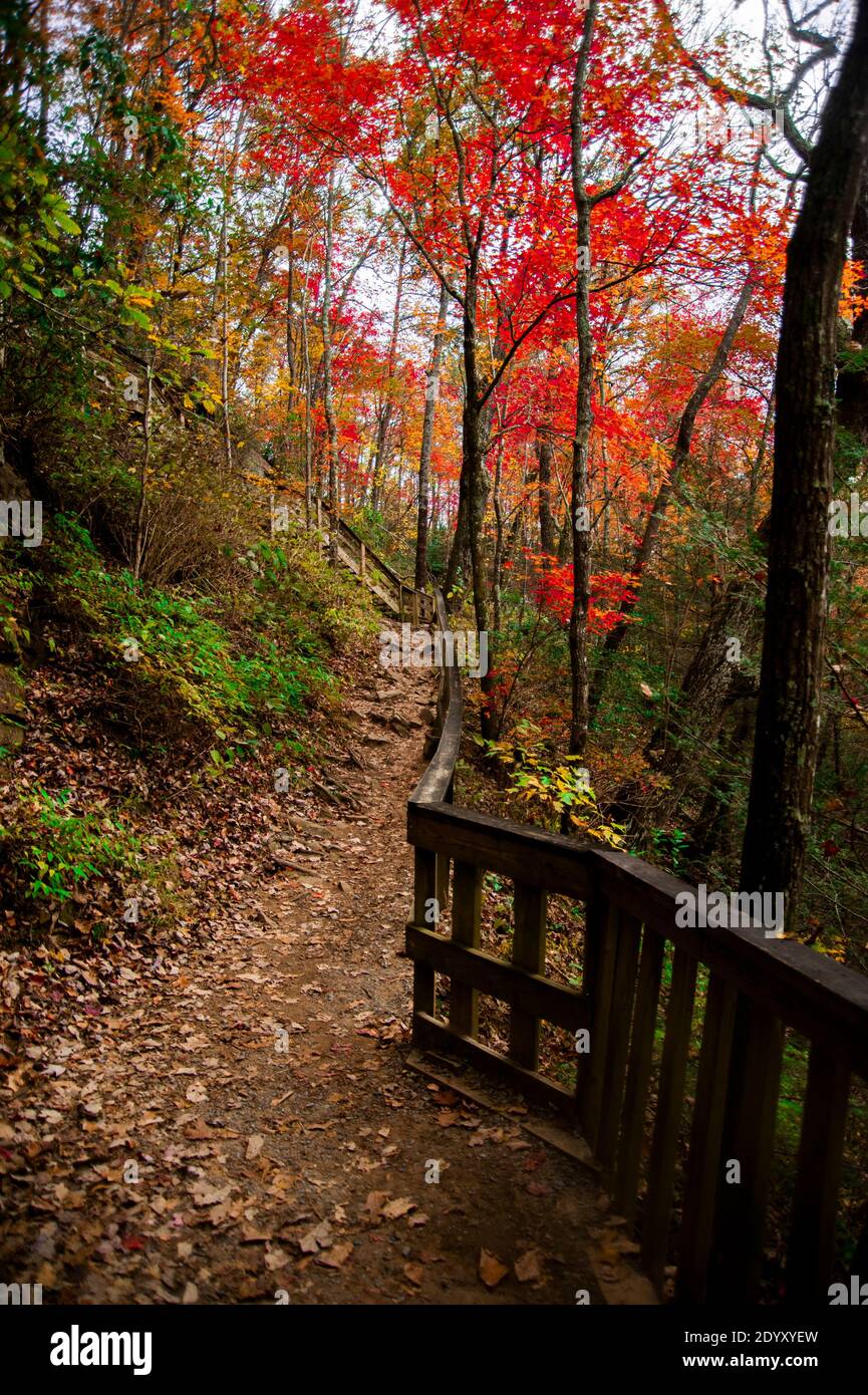 Hiking Trail in Fall Colors Stock Photo - Alamy